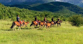 TABARA DEZVOLTARE PERSONALA SI CALARIE